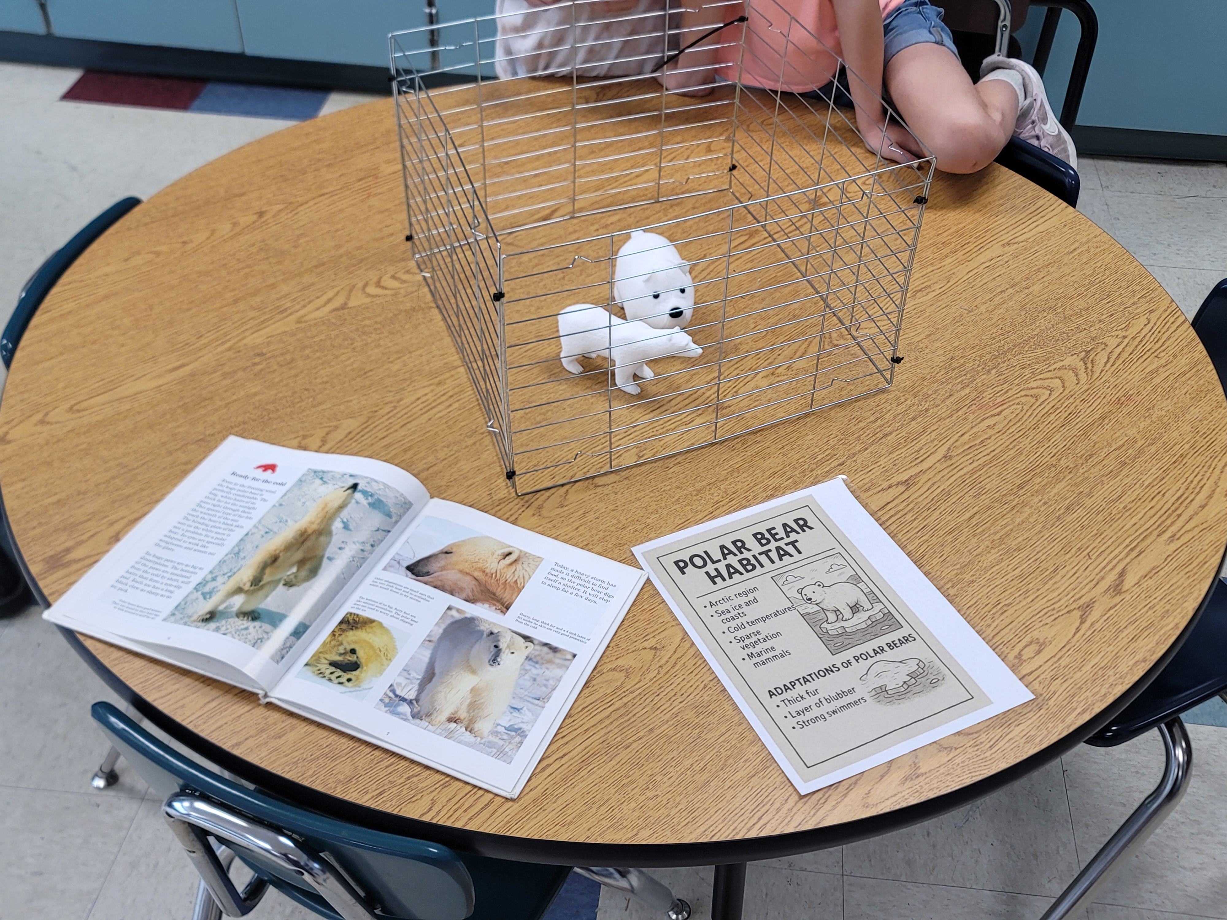 Gravity Falls Habitat Adventure (2nd Grade Science) – Stuff Motion Studios